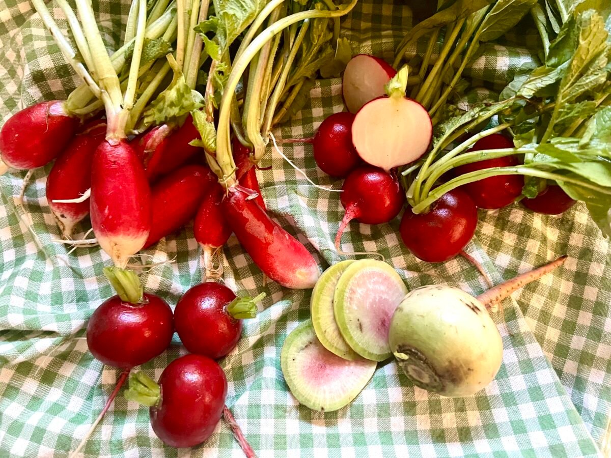 Recipes – Real Food for Kids